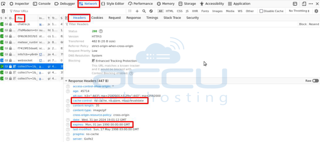 How to Serve Assets With an Efficient Cache Policy on WordPress