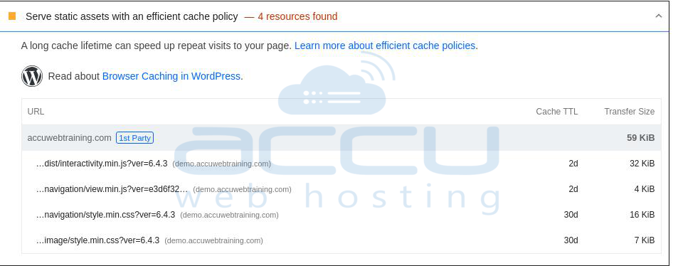 How to Serve Assets With an Efficient Cache Policy on WordPress